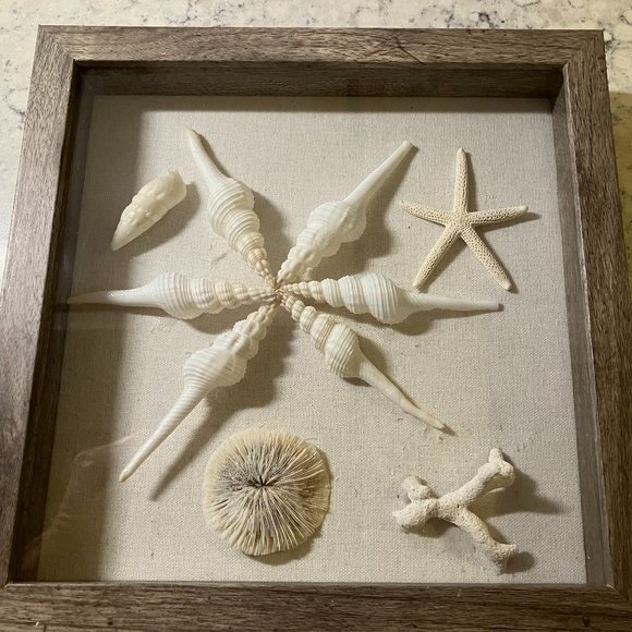 Hand Crafted | Accents | Sea Shell Shadow Box | Poshmark